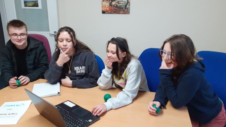 Mental Health Support Teams (MHST) - Young Somerset